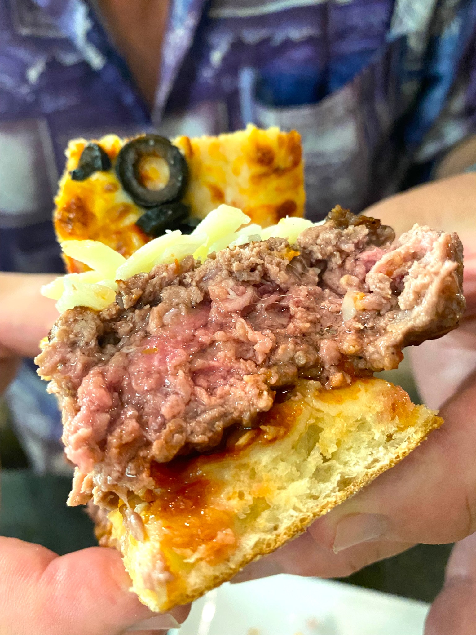 Have You Eaten A Pizza Burger? My Leftover Slices Become a Burger Bun ...