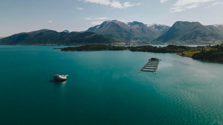 Would You Dine Inside A “Floating” Restaurant? Here Are Some “Wildly ...
