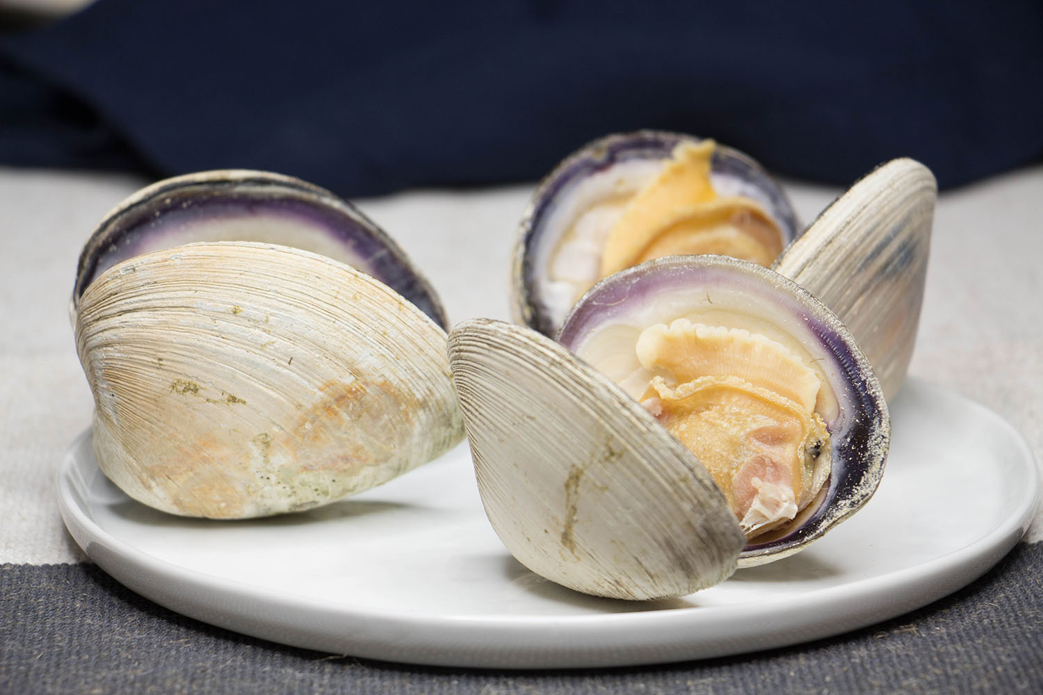 Seahawks V. Patriots – A “Super Bowl 60” Food Fight – Part One! Seattle ...